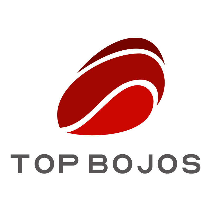 Tipos de bojo: conheça um pouco mais sobre cada modelo